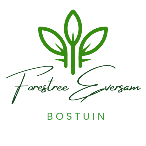 ForesTree Eversam