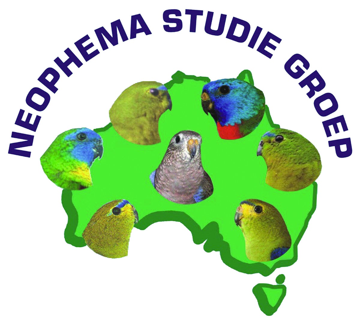 De neophemasoorten | Neophema Studie Groep