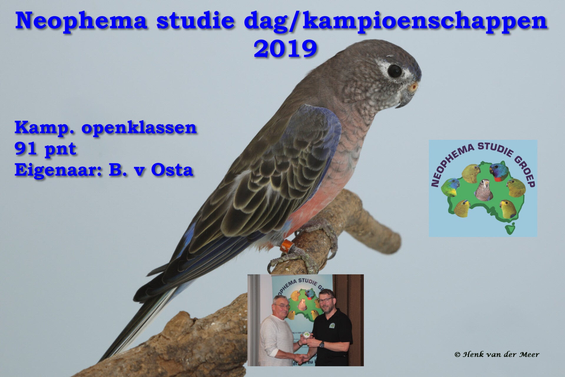 Studiedag 2019 en 2021 / Studiedagen | Neophema Studie Groep