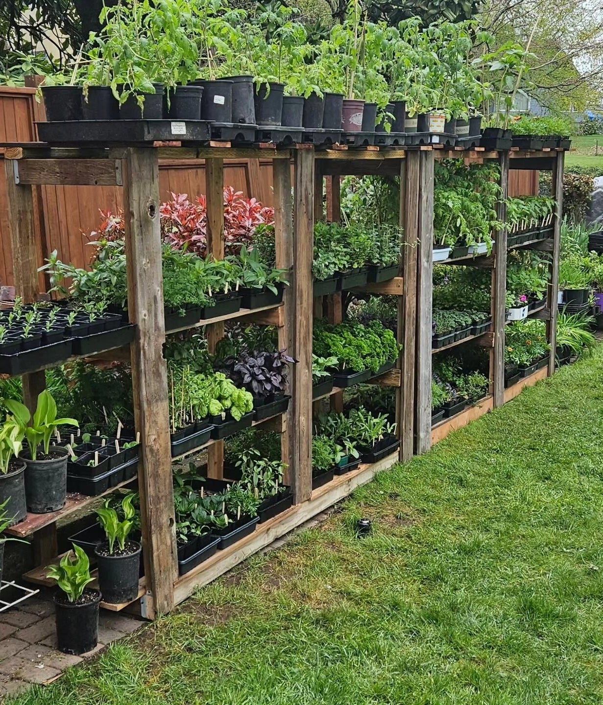 Rudy's Garden