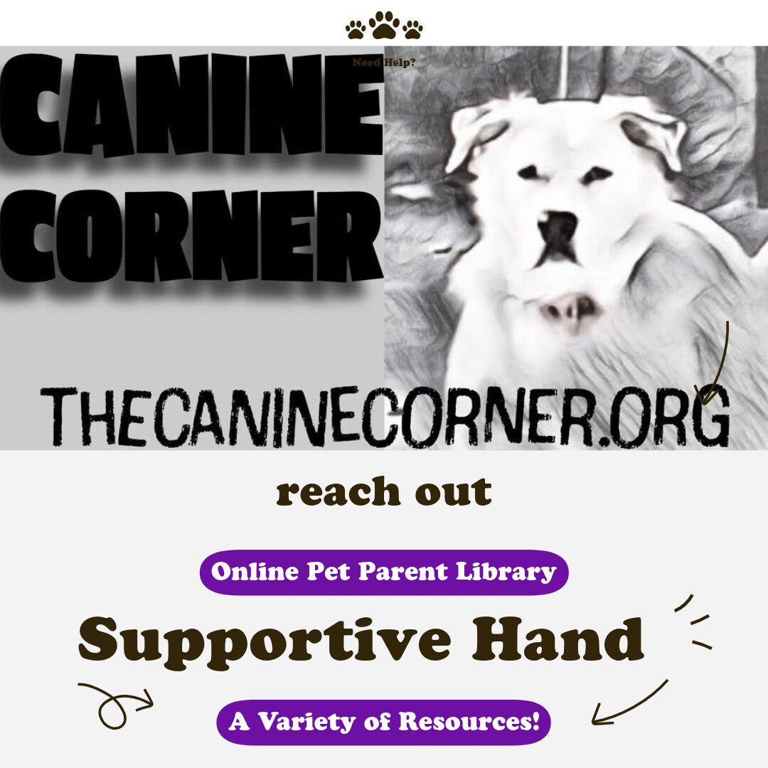 The Canine Corner