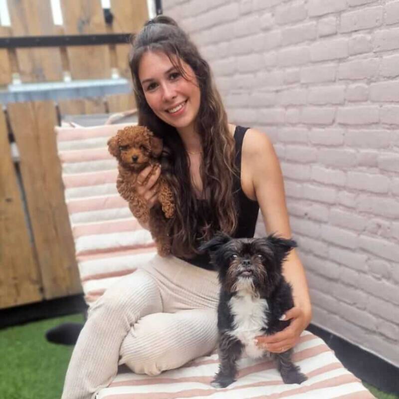 Over Paws & Pupper / Over ons | Paws & Pupper