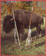 The Native American Lance | Spear of the Plains Indian | Native ...