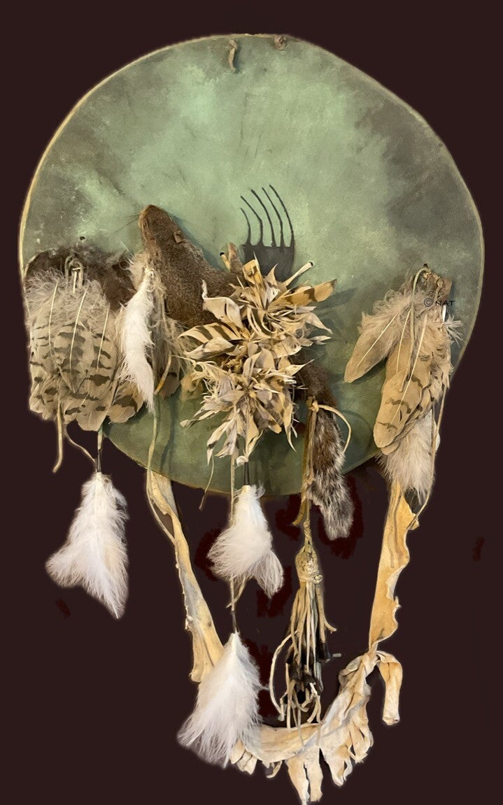 Plains Indian Shields | Native American Shields