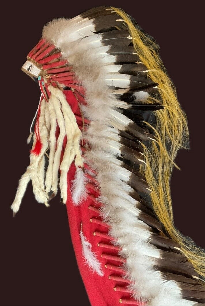 PLAINS INDIAN WAR BONNETS | NATIVE AMERICAN HEADDRESSES