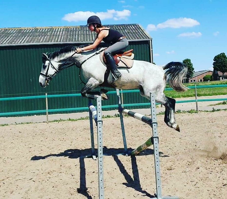 Jan van As paardenhandel