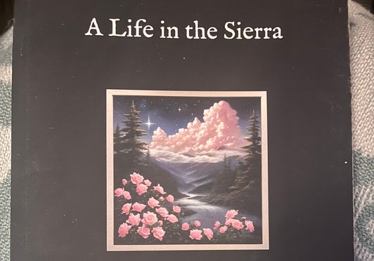 Store | Jamie Lee Hamann - Author/Poet