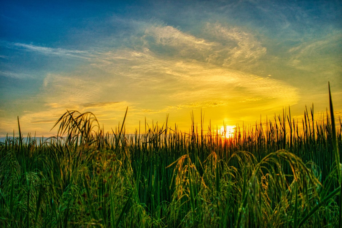 Beate Rößler Energetik & More