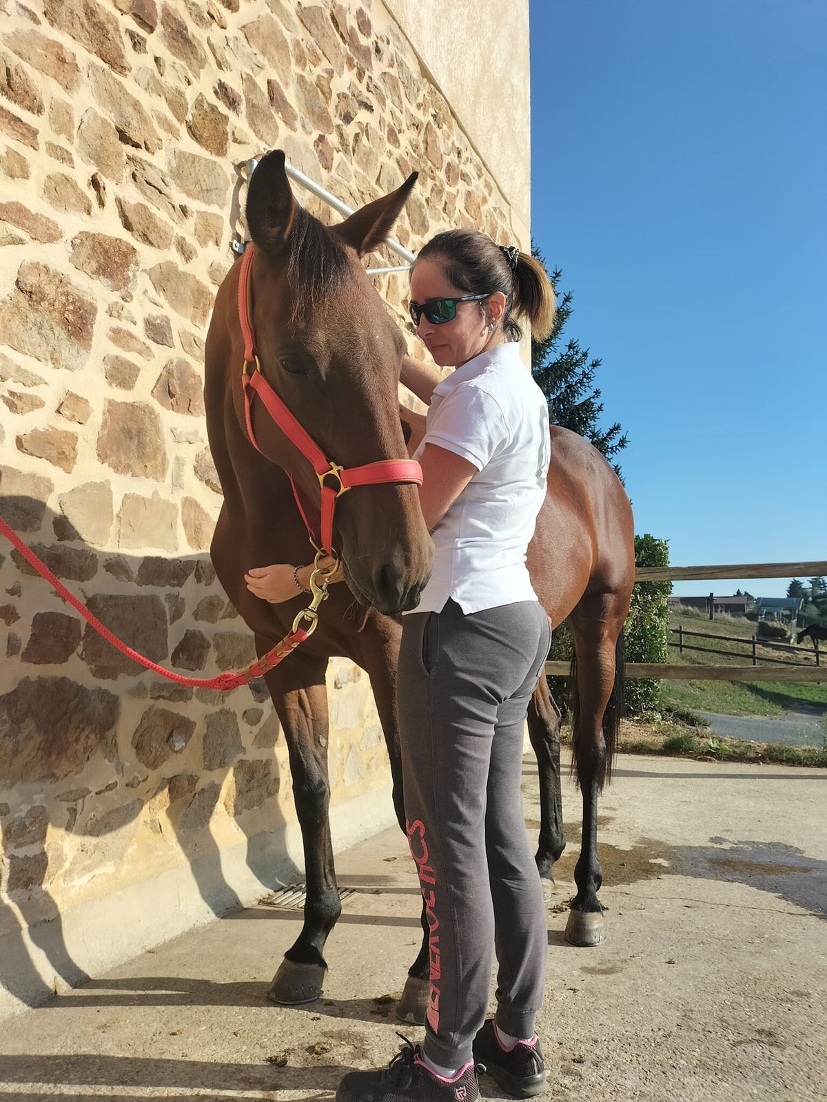 Formation / En Equi'Libre