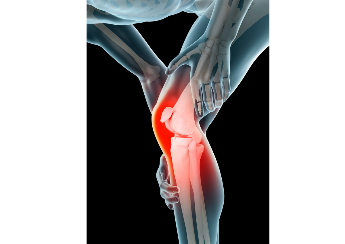 Knee Pain Perfect Therapy knee-pain-perfect-therapy