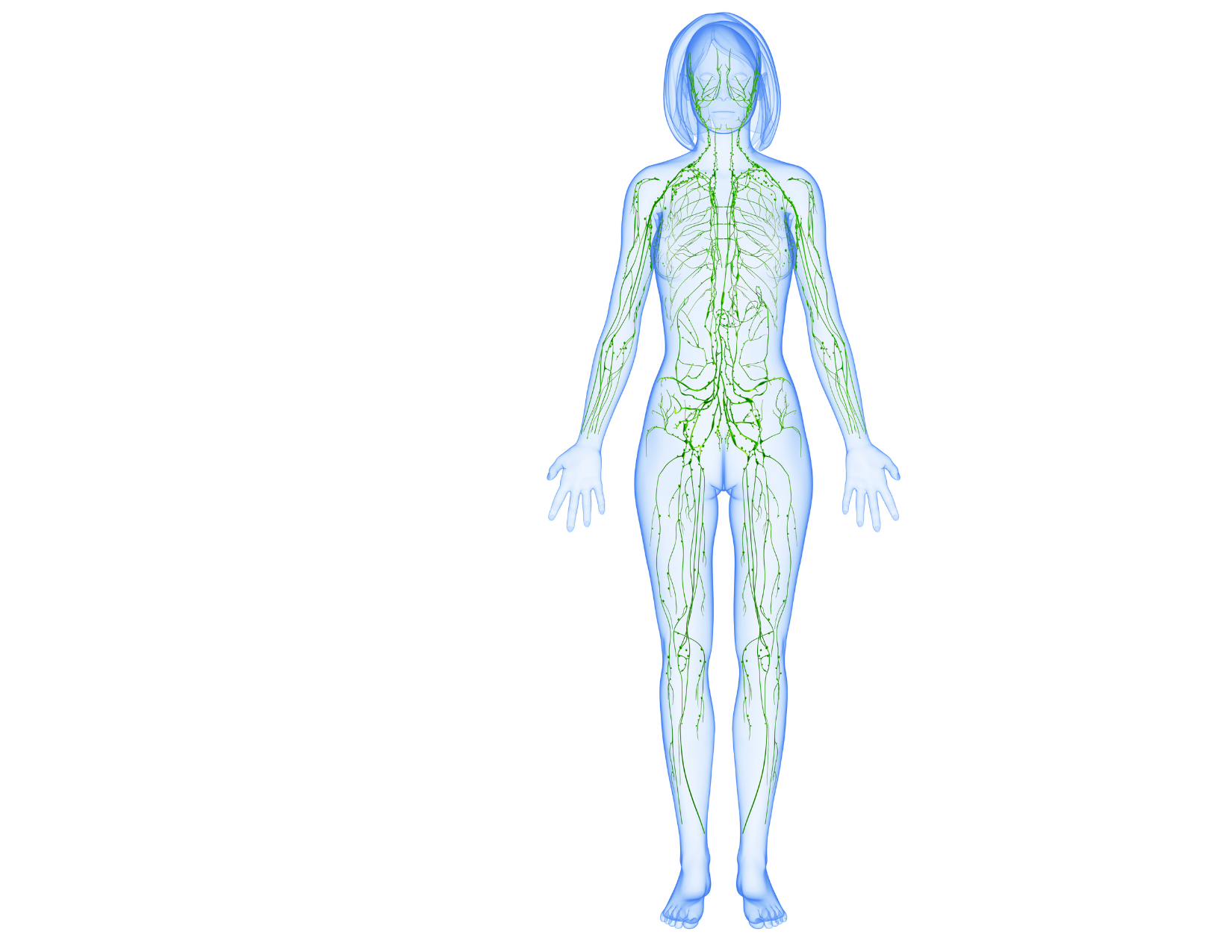 Manual Lymphatic Drainage | MLD | Perfect Therapy