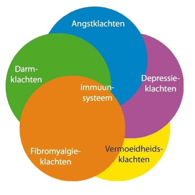 Functionele Geneeskunde