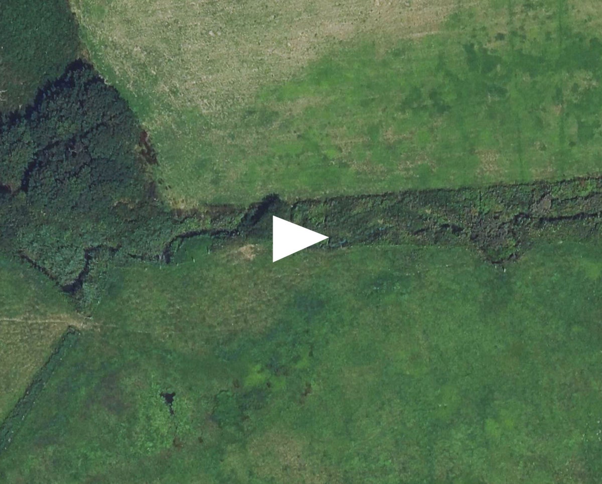 DANES STREAM / FISHING IN THE NEW FOREST | Forestry England Fishing