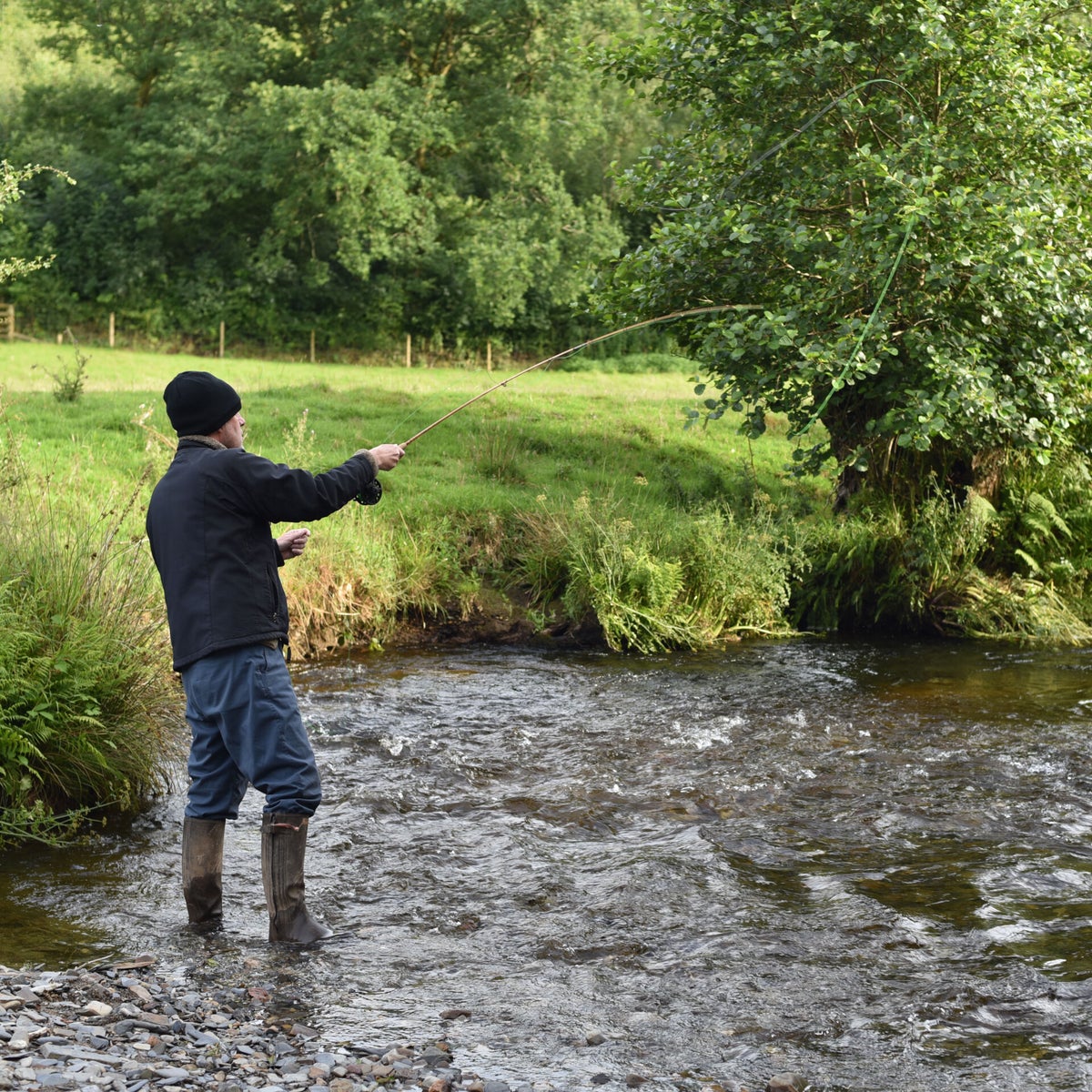 OBER WATER TIPS / OBER WATER / FISHING IN THE NEW FOREST | Forestry ...