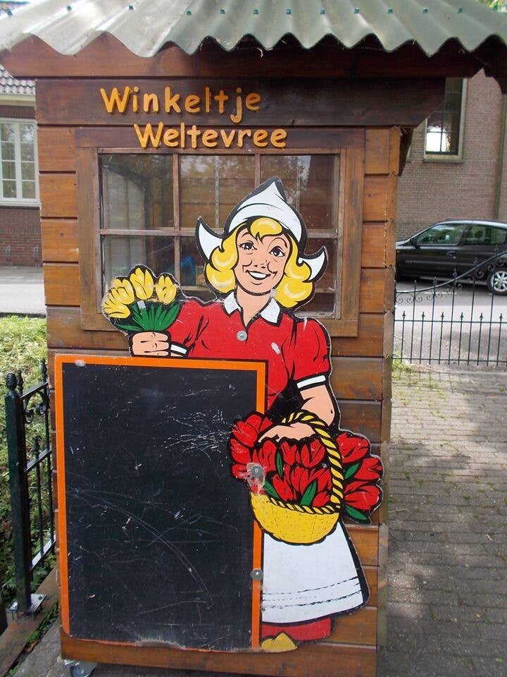 Bullen, Mopsen, Molossers, doggen / webshop | Winkeltje Weltevree
