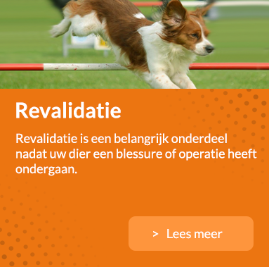 Actiefdier.nl