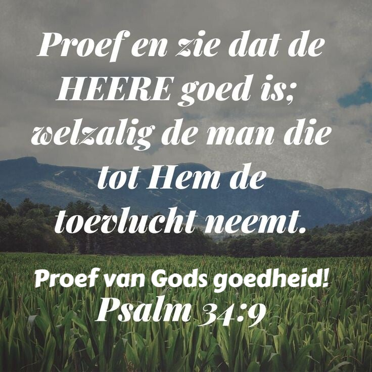 Proef van Gods goedheid. / BEMOEDIGING: | Beeldendegedichten.nl