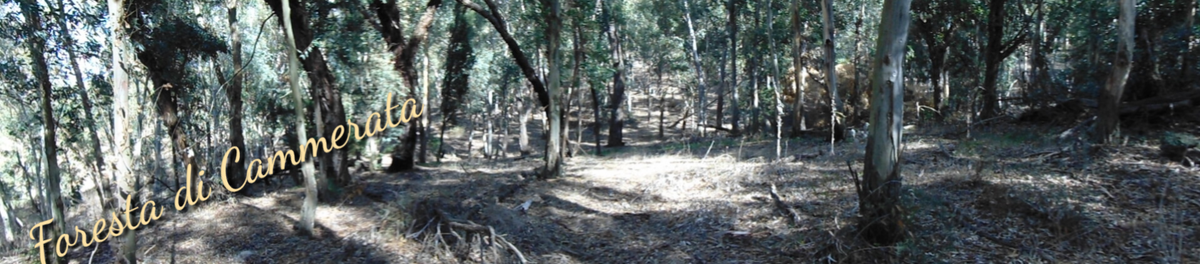 Outings | Frate Jacoba Educational Institute (FJEI Malta)