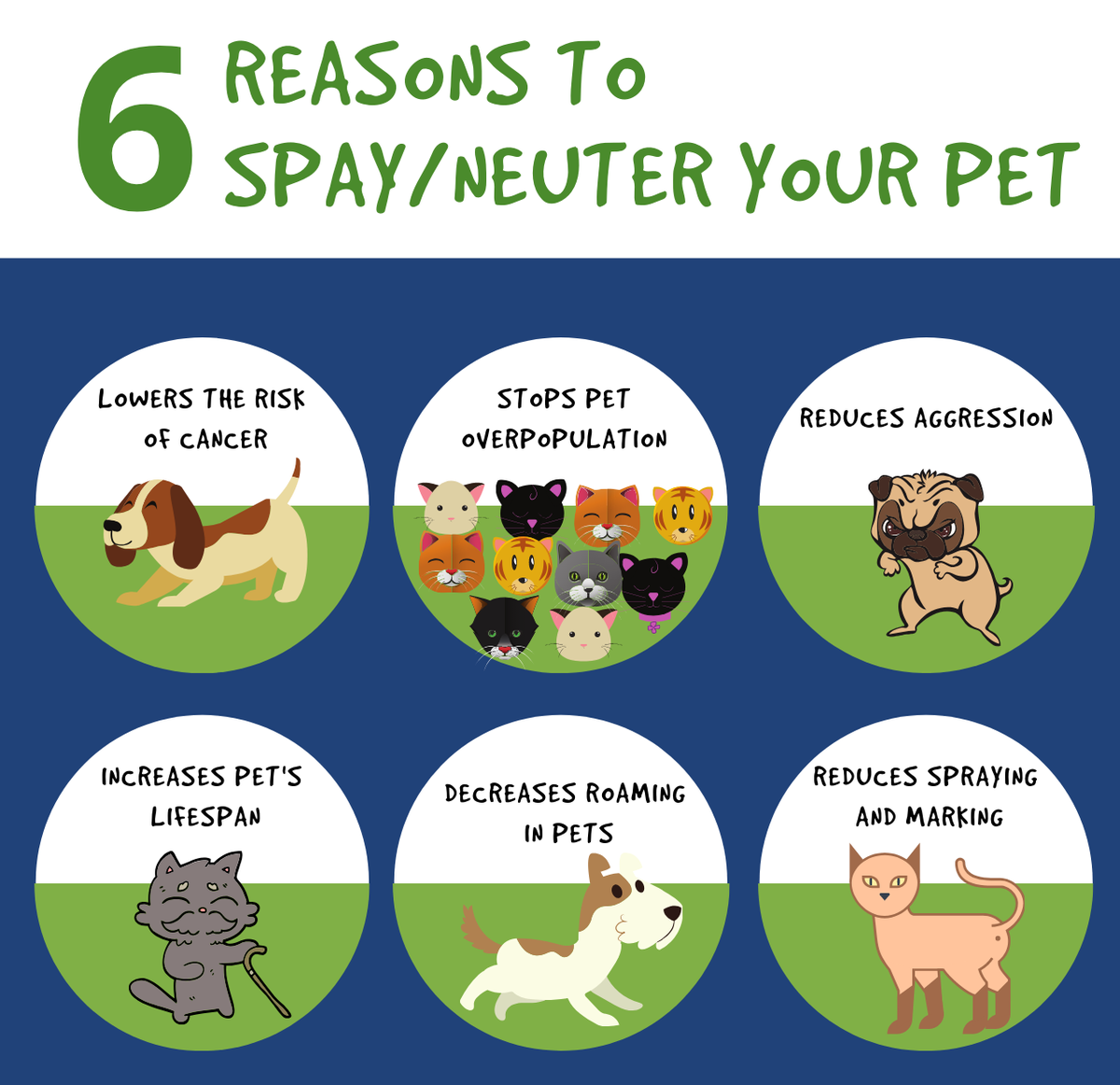Spay and Neuter