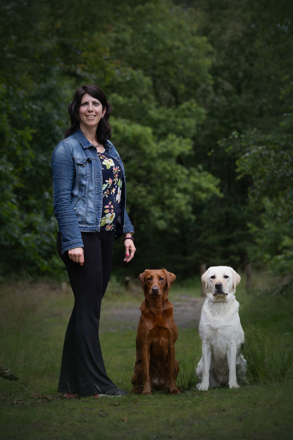 Over Ons | Of the flow meadow labradors