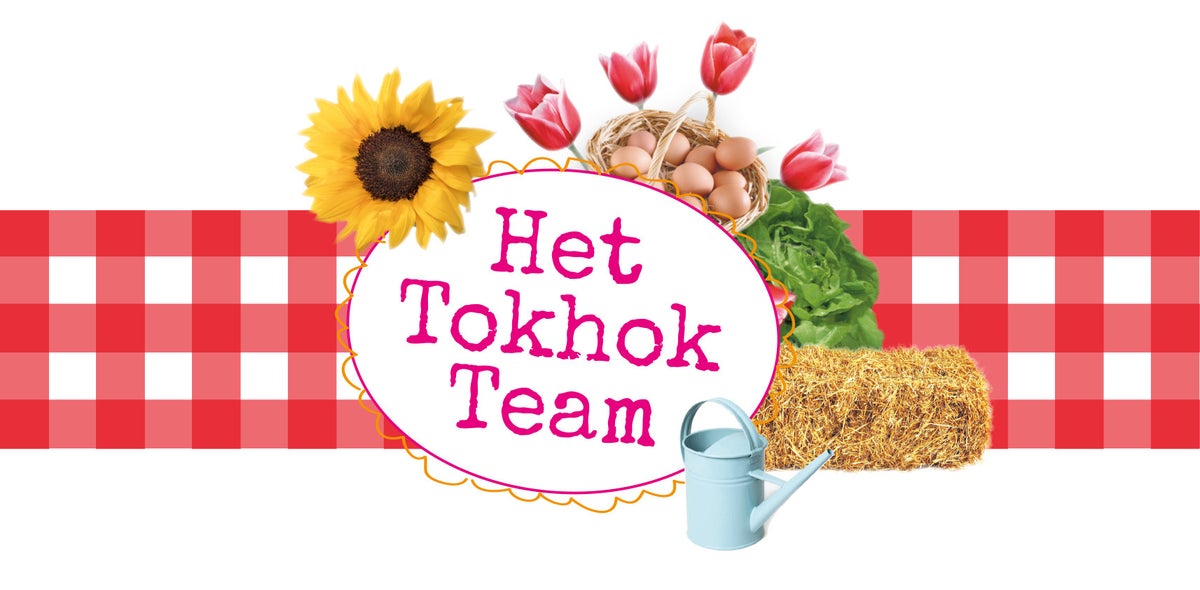 tokhok team | tokhok