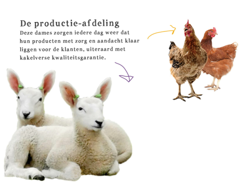 tokhok team | tokhok