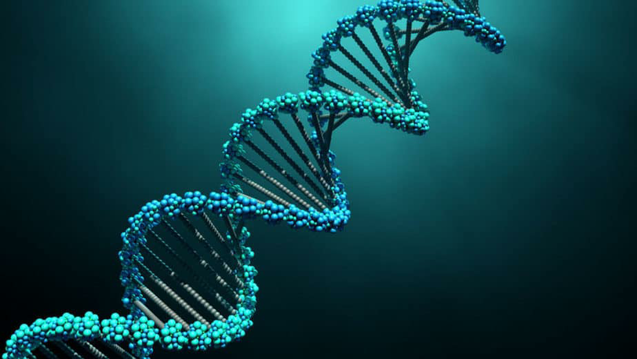 The Miracle of DNA | Is there a creator?