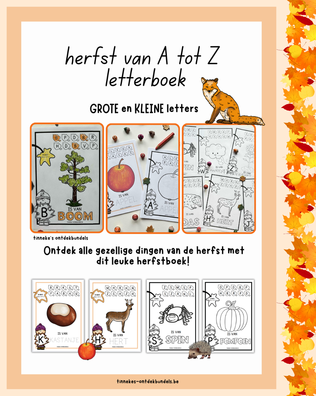 tinneke's ontdekbundels