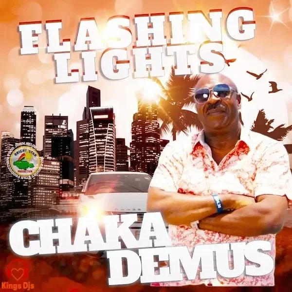 Chaka Demus - Flashing Lights / Blog | UrbanNoize