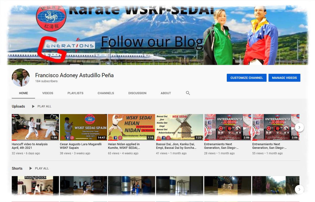 Skerries Karate Tutorials | WSKF SEDAI