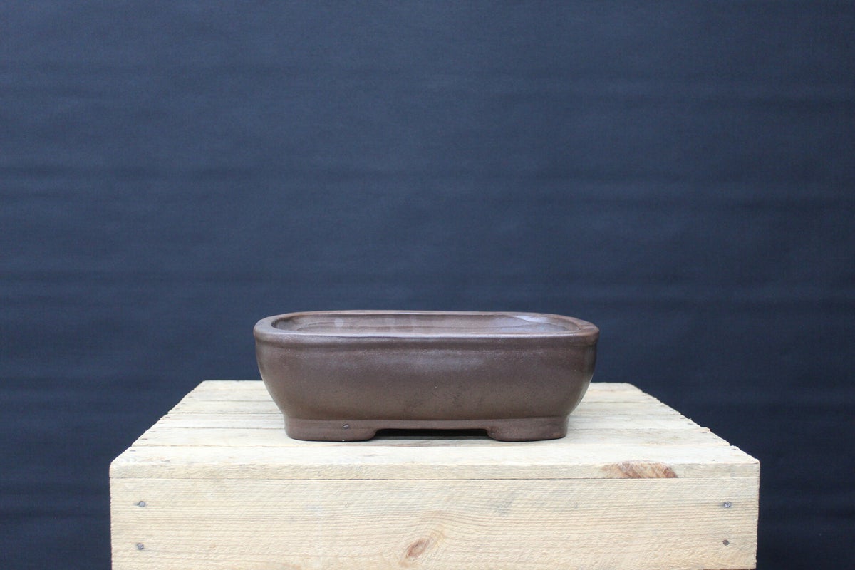 Keramische Potten - Bonsai Shop Everaert