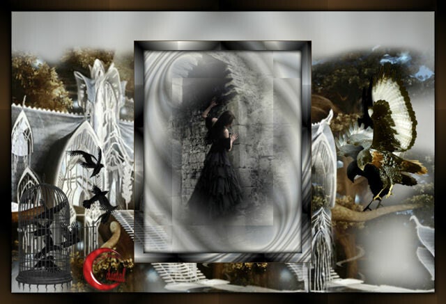 creaties van lydia's lessen / psp / blog | pspteam