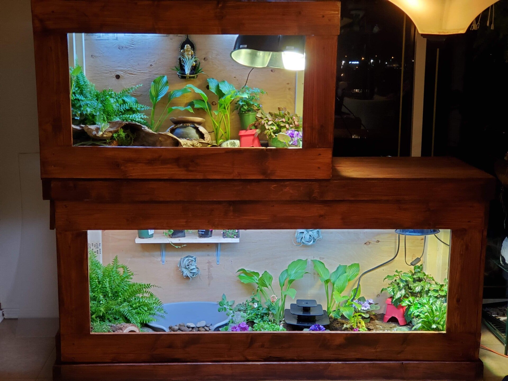 Vancouver Island Reptile Enthusiasts