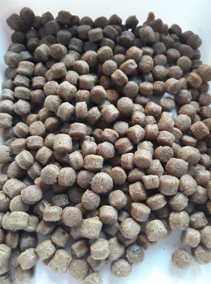PURPLE PELLETS weekkorrel ZAK 1 kg tot 5kg Verschillende maten 2- 3 -4 ...