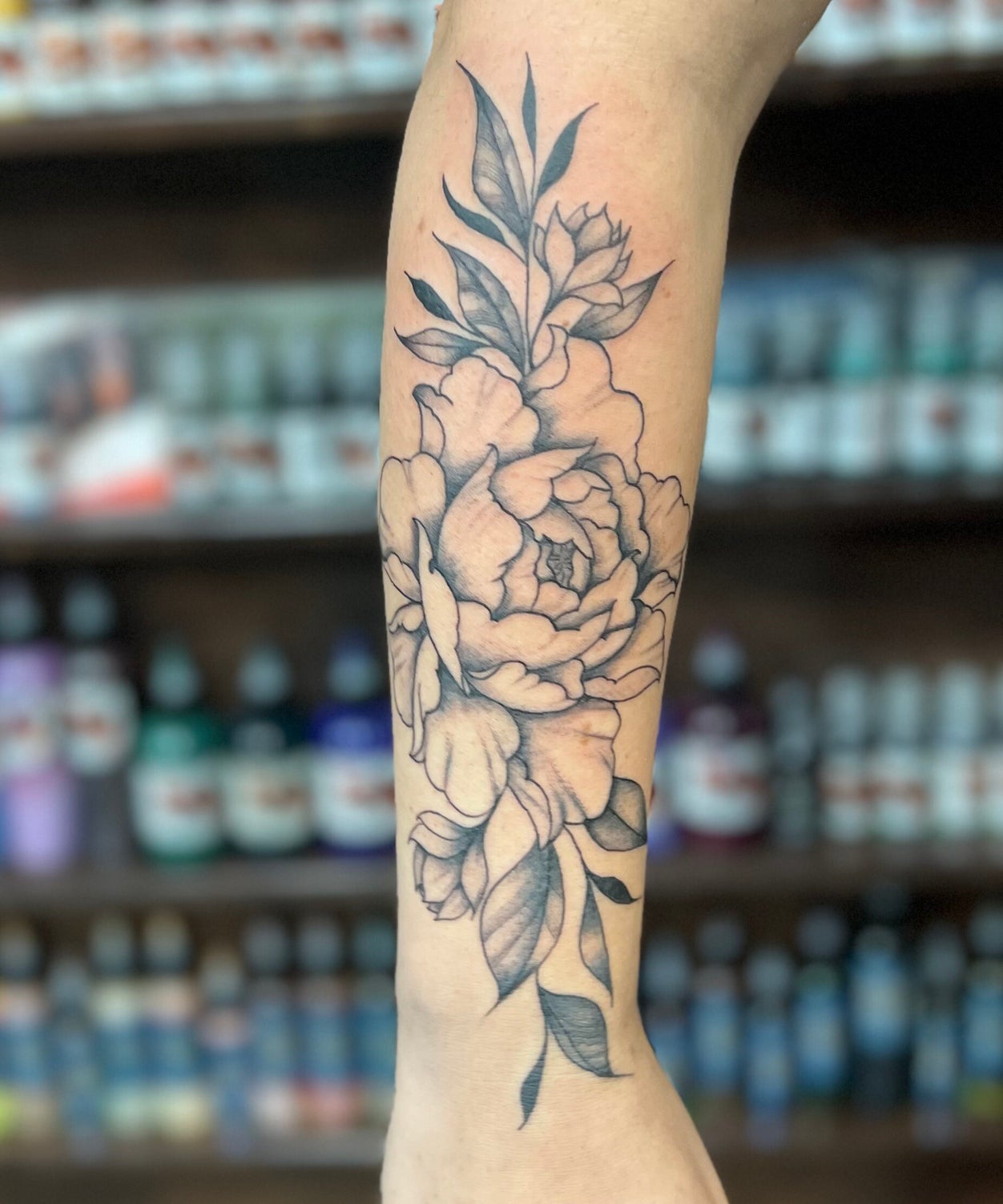 Cold North Ink