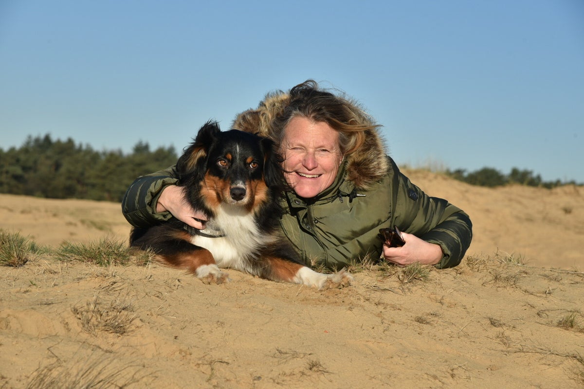 Over Ons | Jo!Dogs