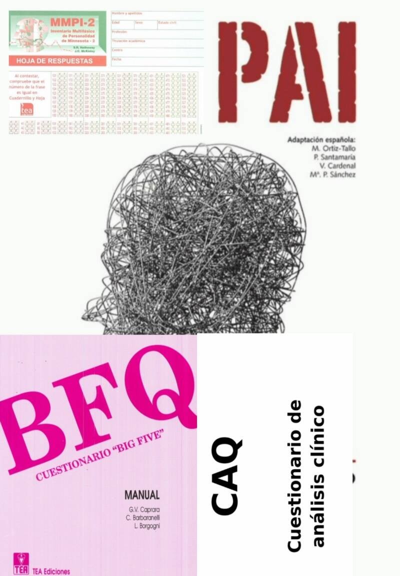 Test de Personalidad PAI