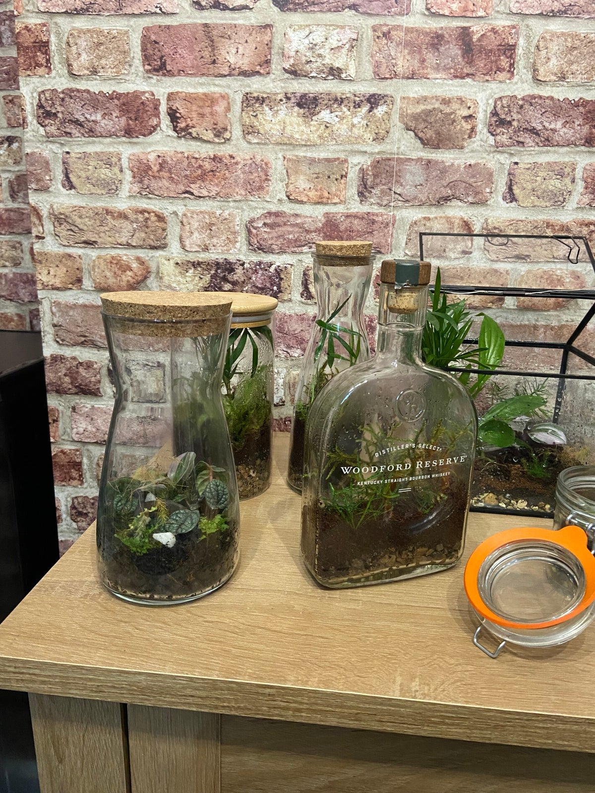 E12 Terrariums