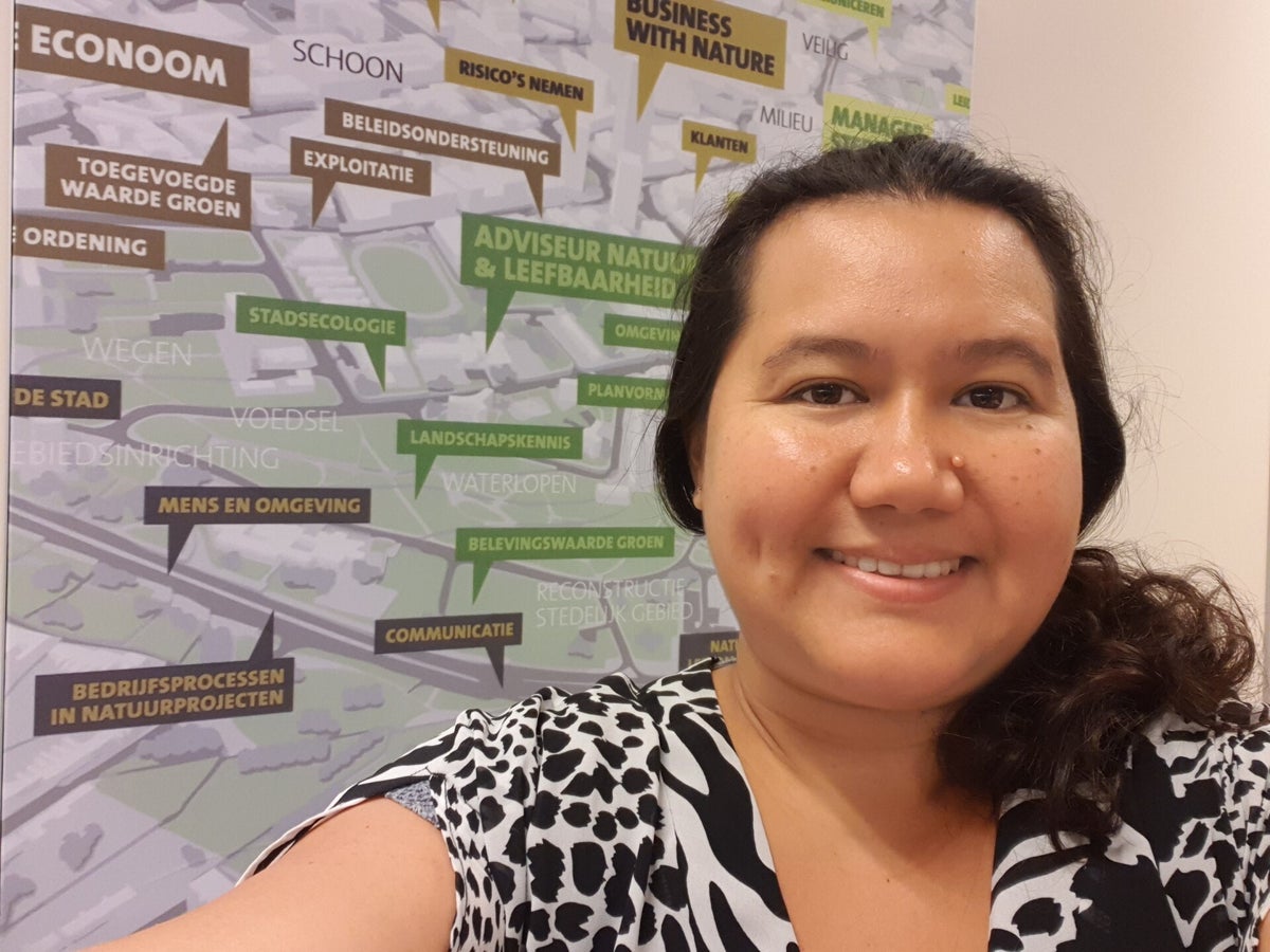 Digital Twin cities | GeoLab Almere