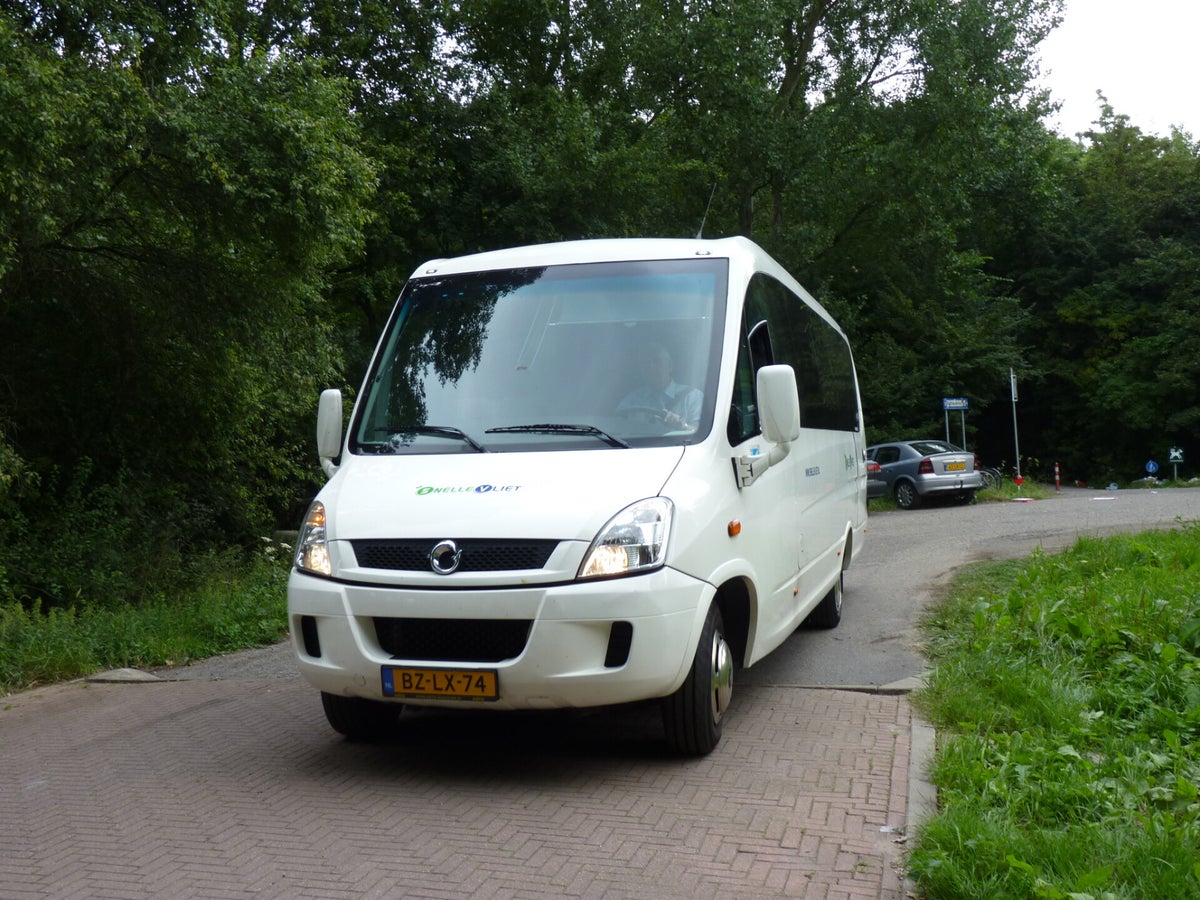 Snelle Vliet / S | buskees.nl
