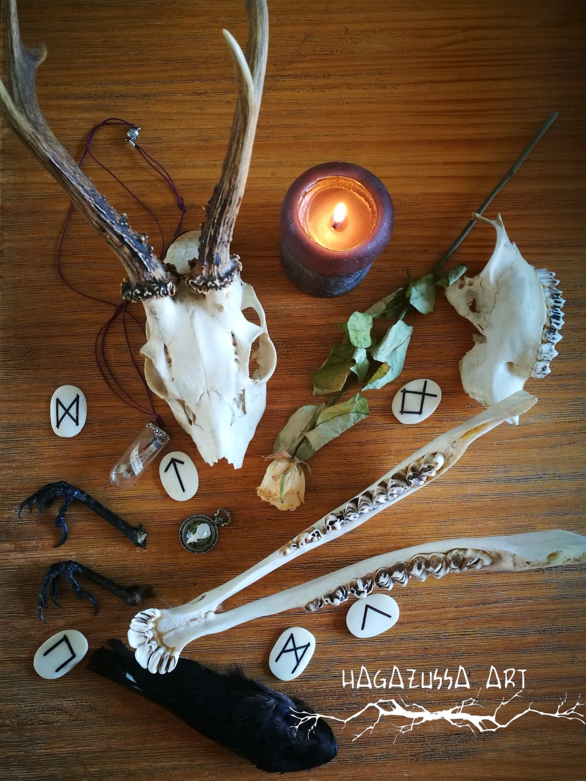 Bones And Animal Parts In Folk Magic / Blog | Hagazussa - Art