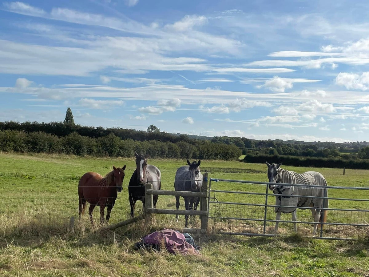 Facilities | Parkfield Stud