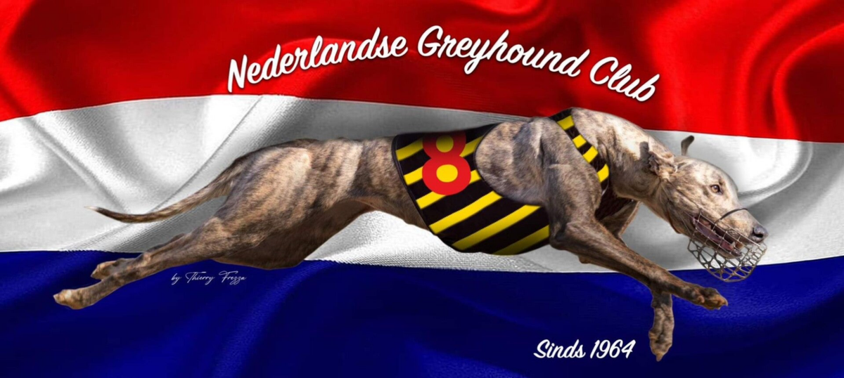 Contact | Nederlandse greyhoundclub