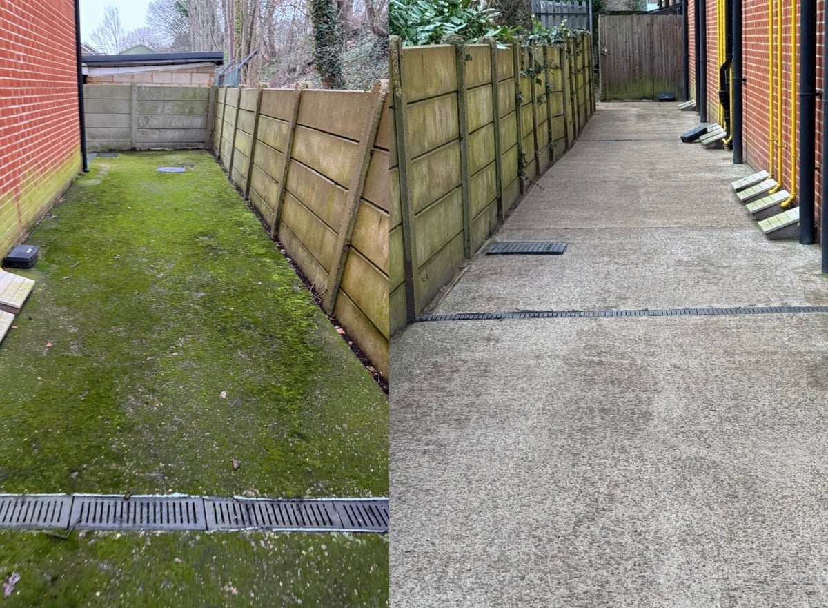 Our Services | Branching Out