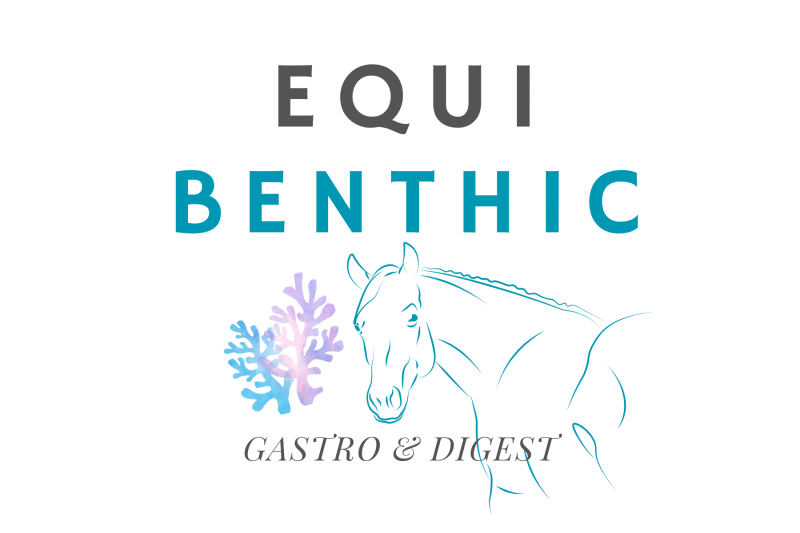 Equi BENTHIC Natuurlijk - Krachtig - Vertrouwd
