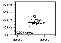 Serotine bat (E. serotinus) / Eptesicus / Social calls | United by Ecology