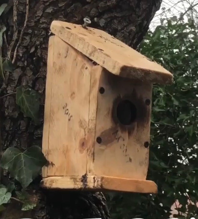 Forest School Signs