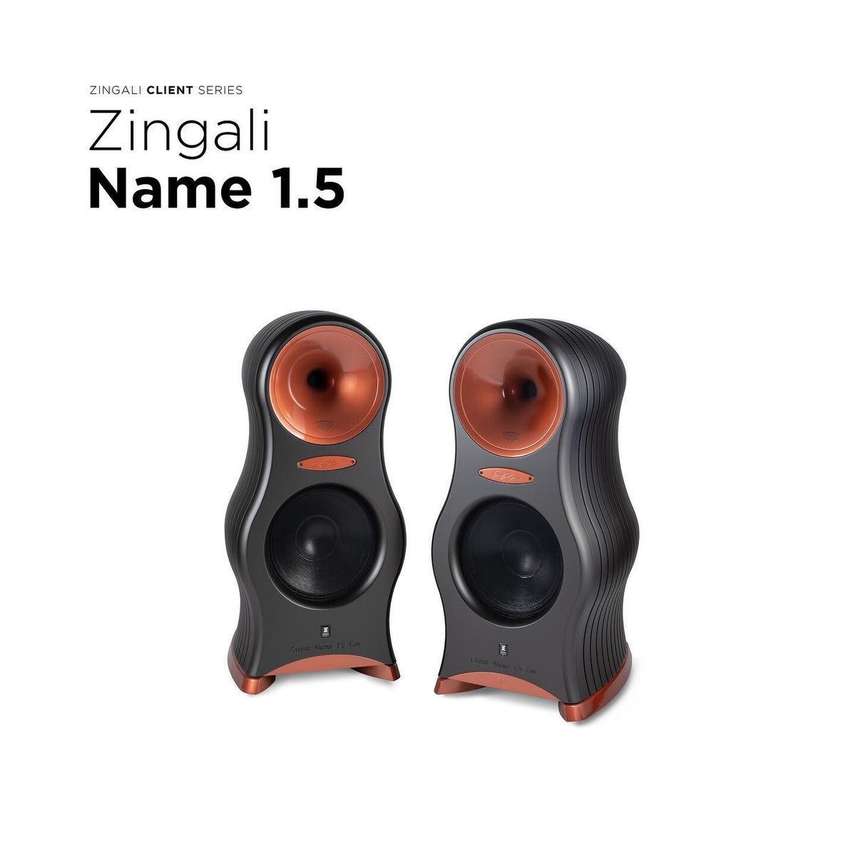 StereoWise: L.Speaker - ZINGALI Acoustics / StereoWise: Loudspeaker - Z ...