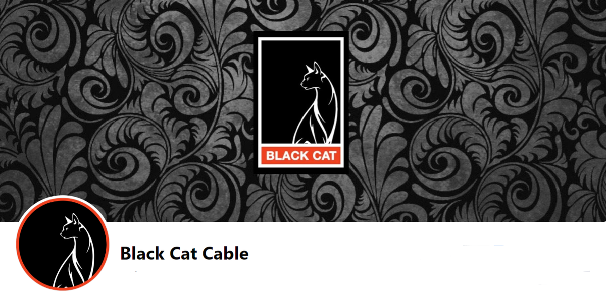 StereoWise: Cables - Black Cat Cable / StereoWise: Cables ( General ...