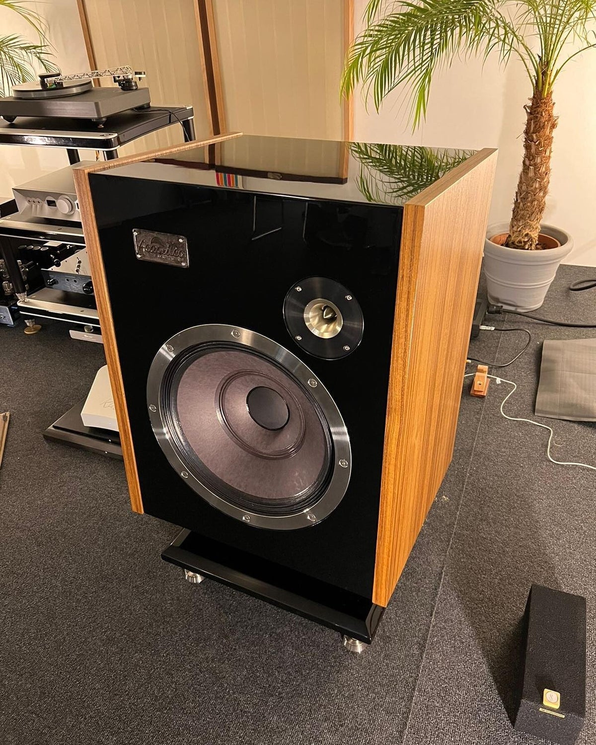 StereoWise: L.Speaker - Troy Audio / StereoWise: Loudspeaker - T ...